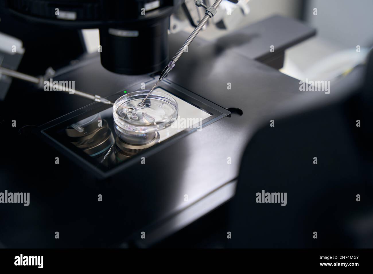 Modern biotechnology of fertilization using a micromanipulator in ...