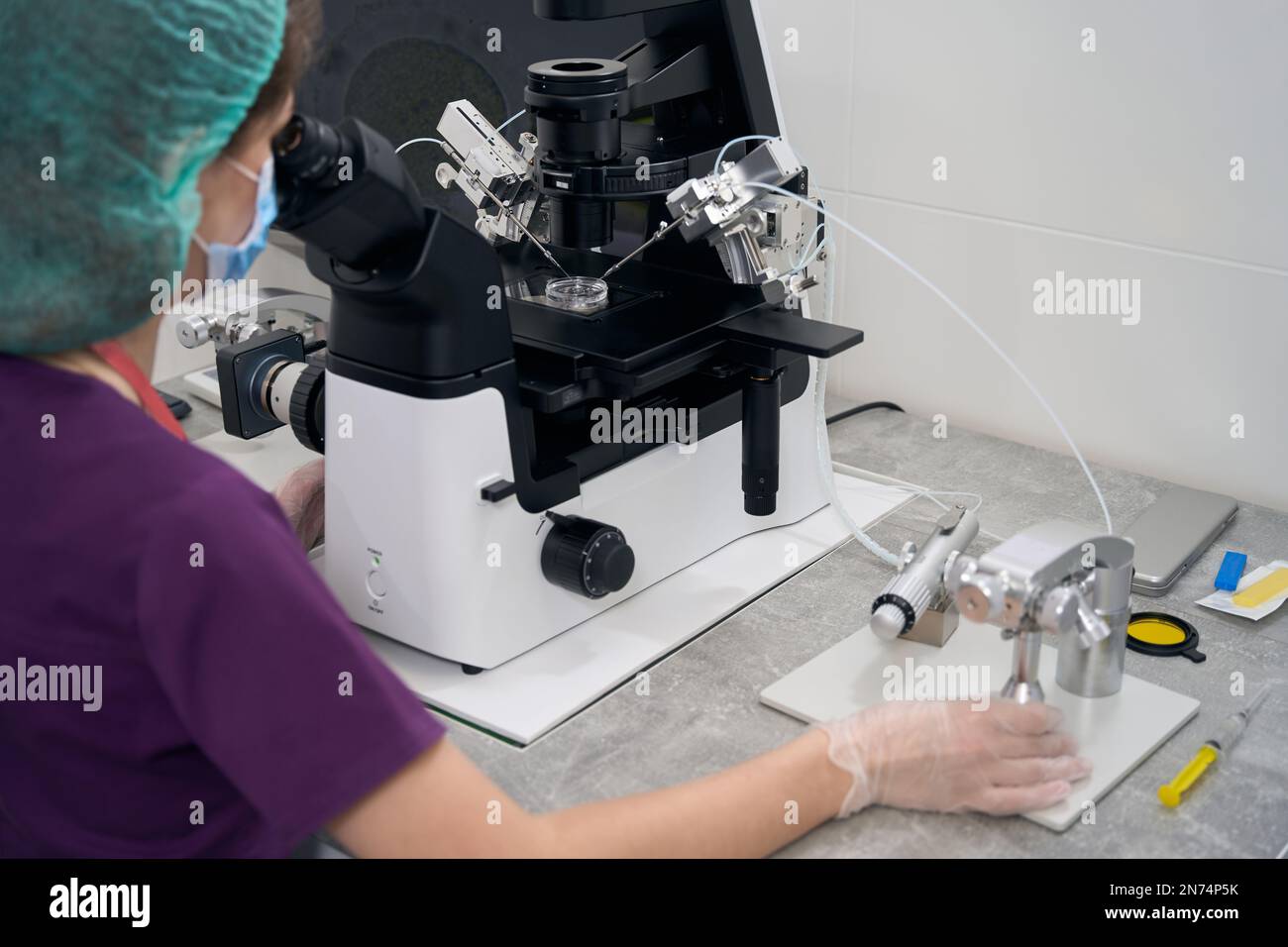 Embryologist assistant under microscope carries out fertilization of ...