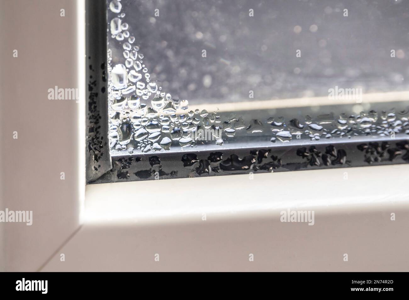 Condensation precipitation consequences on the inside of wooden roof ...