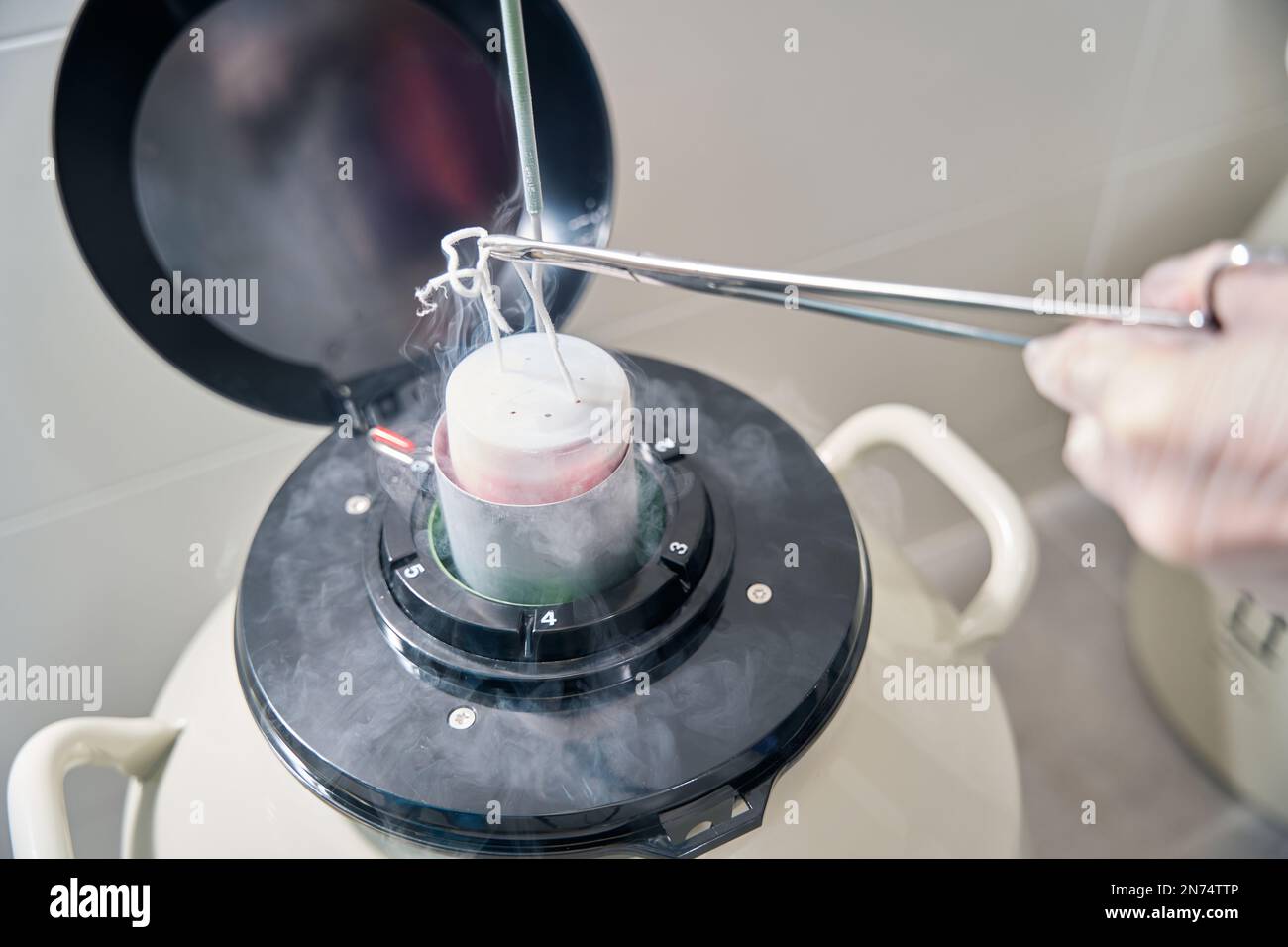 Specialist from cryostorage puts biomaterial into tank with liquid ...