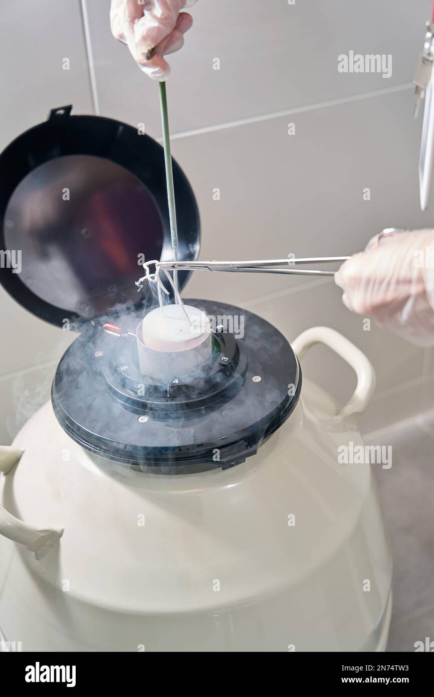 Vitrification procedure hi-res stock photography and images - Alamy