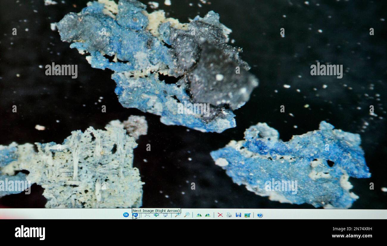 Fragments of paint and canvas are seen in a photograph of evidence that ...