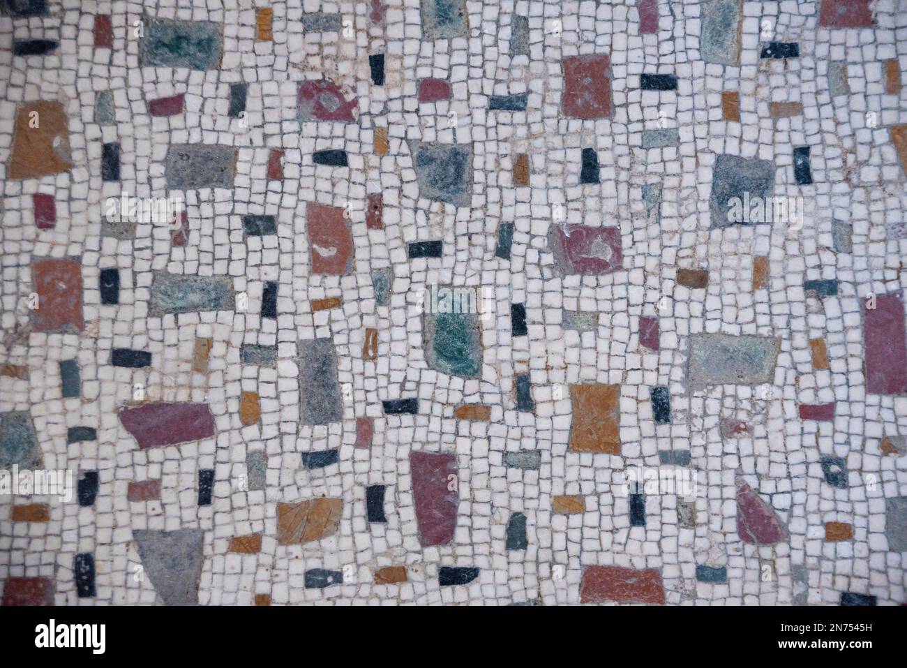 Ancient floor decoration in the excavated Roman villa of Oplontis ...