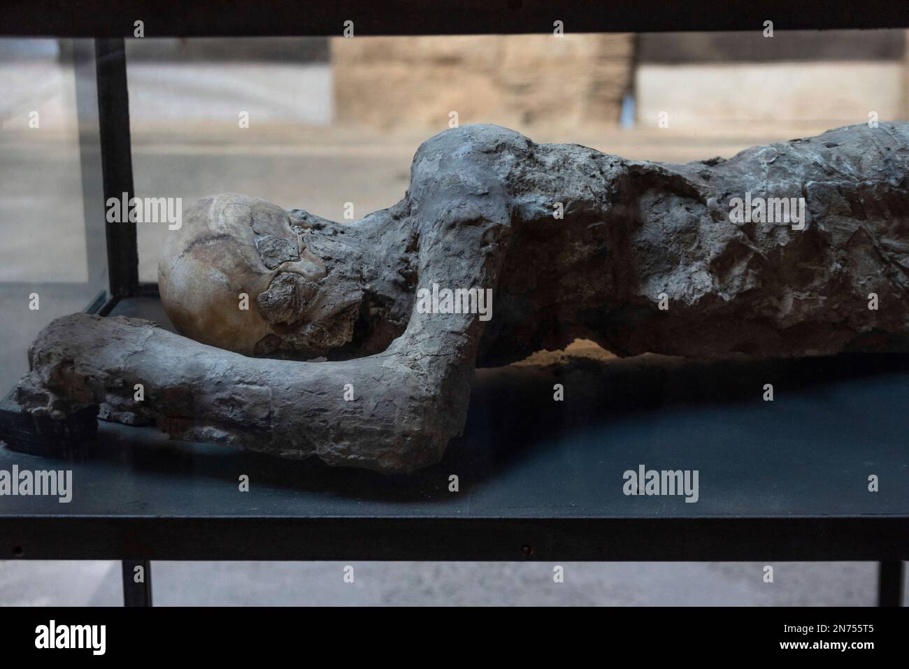 Pompeiian inhabitants petrified in their last situation of life ...