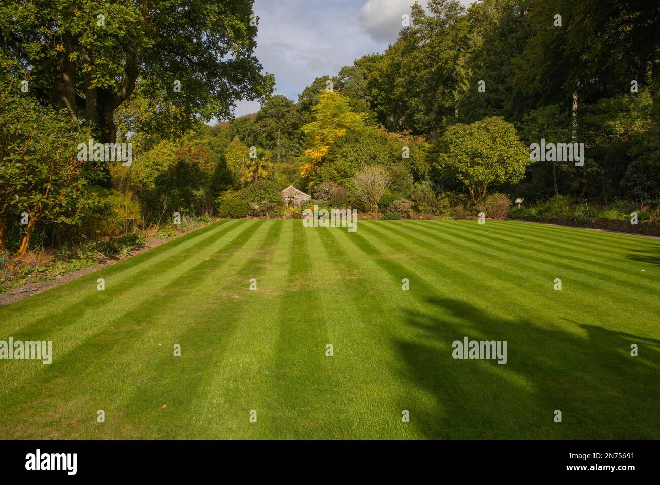 Immaculate trimmed lawn set in scenic woodland surround Stock Photo - Alamy