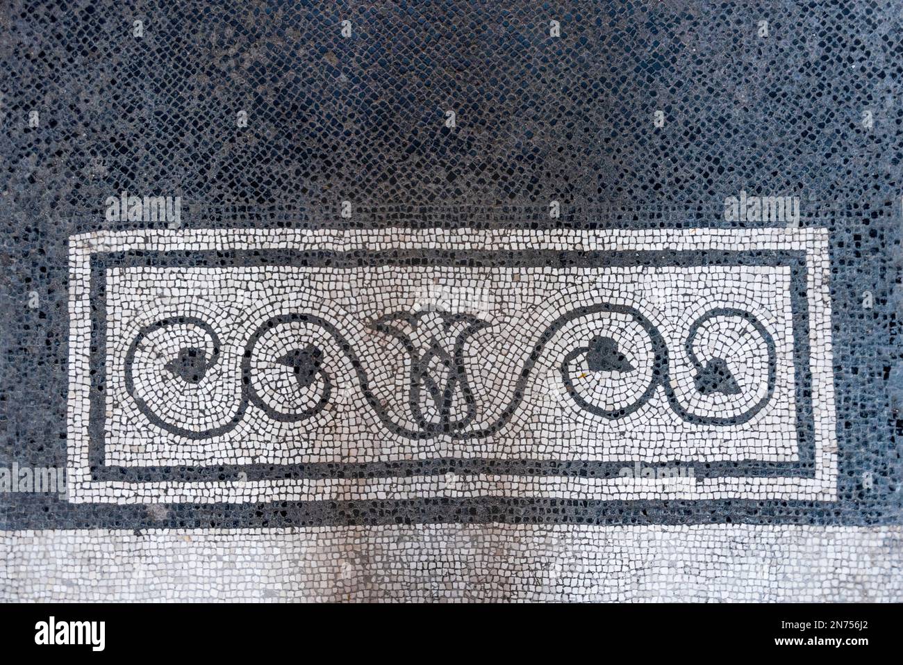 Herculaneum, Italy, Ornate floor painting in the house of the Tuscan ...