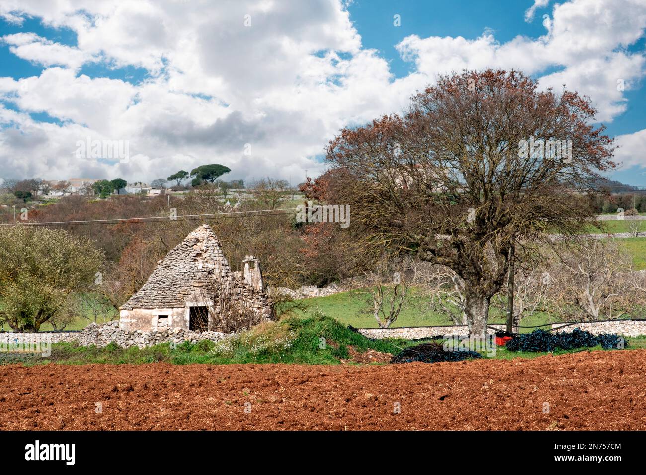 Green landscape in southern hi-res stock photography and images - Alamy