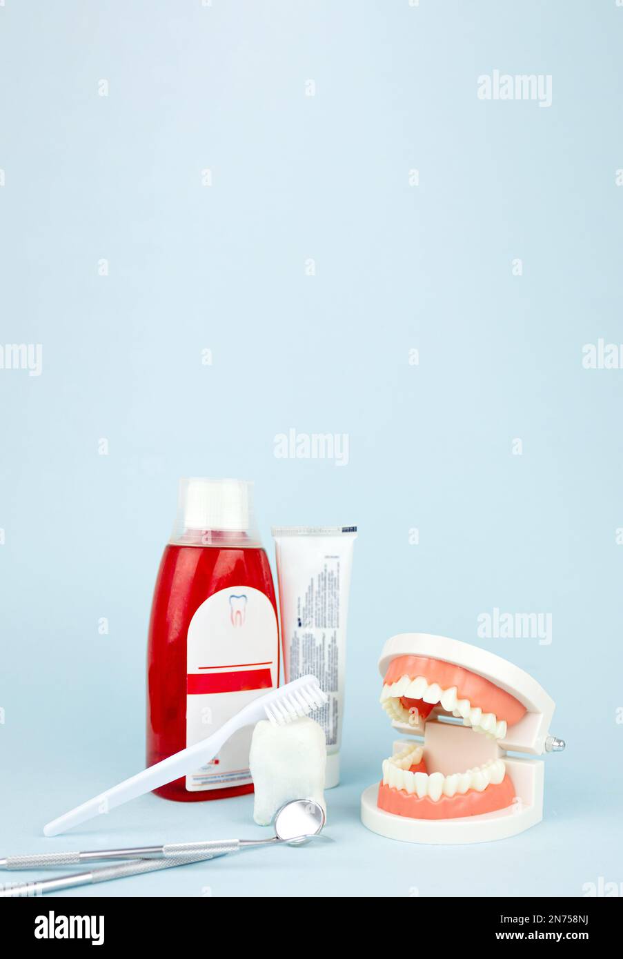 Basic dentist tools , toothbrush, toothpaste and Dental Teeth Model ...