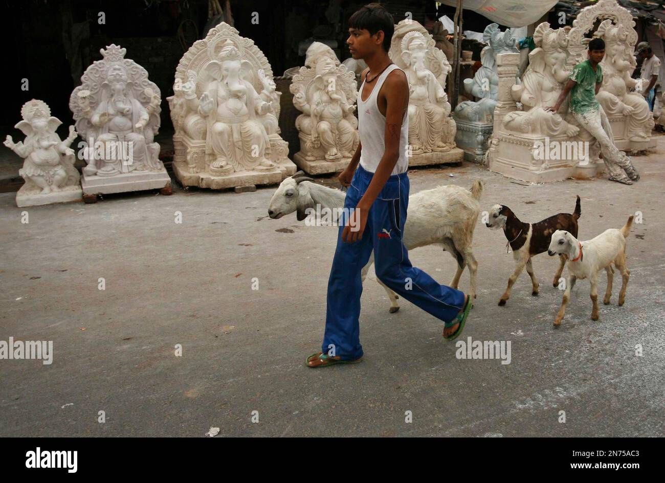 An Indian youth walks with his goats past unfinished idols of elephant ...