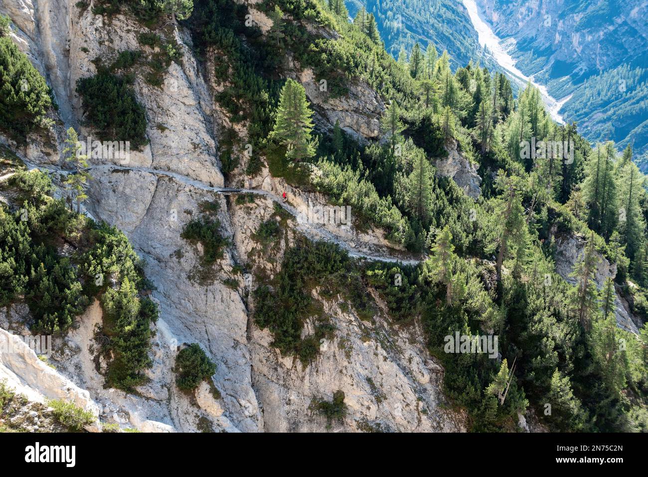 Hiking through fragile limestone rock in the Rienz valley of South ...