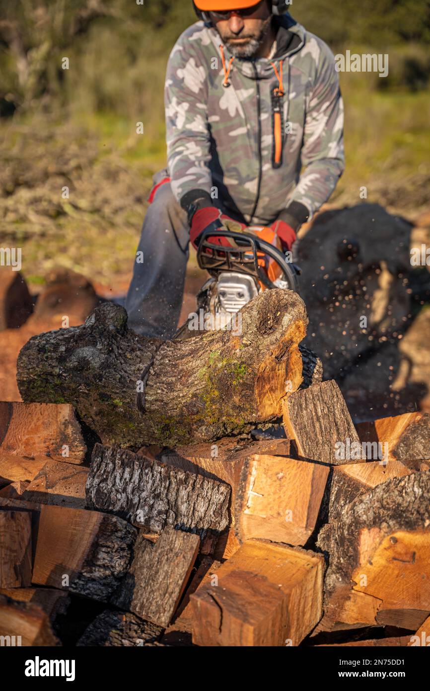 image of a man cutting wood with his chainsaw for the winter, vertical ...