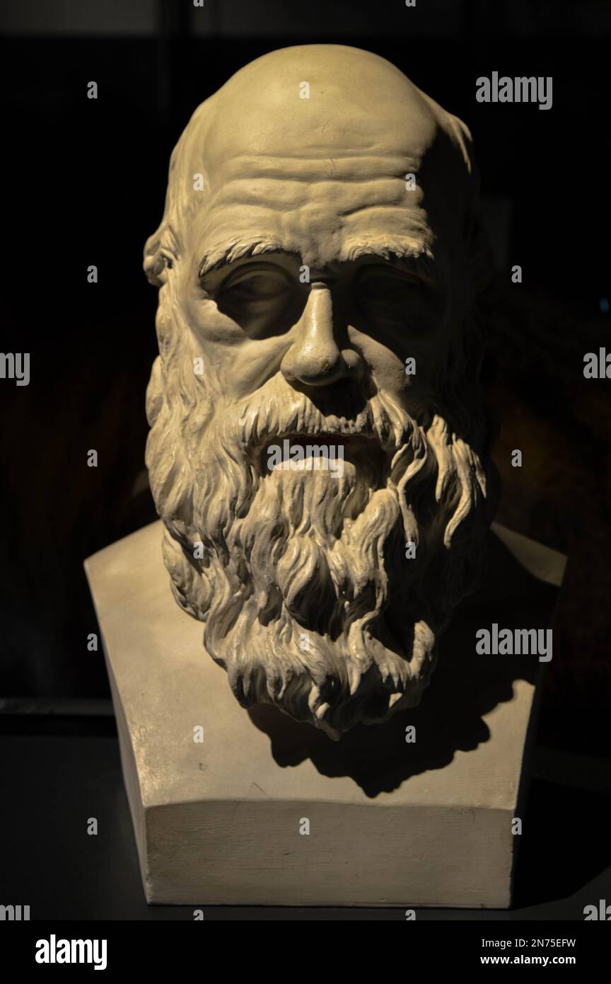 The sculptural portrayal of Socrates's head and shoulders Stock Photo ...