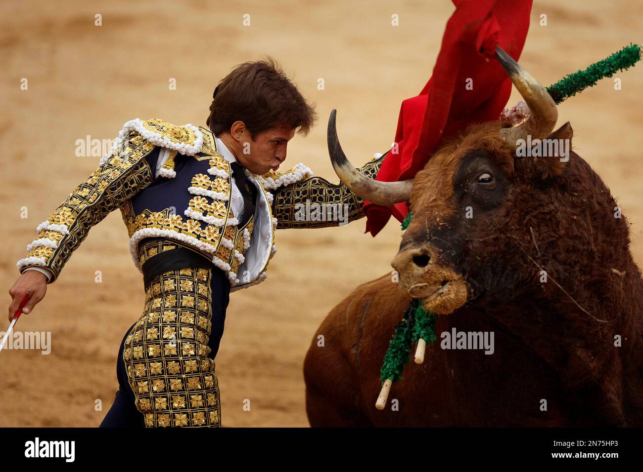 Bullfighter Julian Lopez 'El Juli' performs with an El Pilar ranch ...