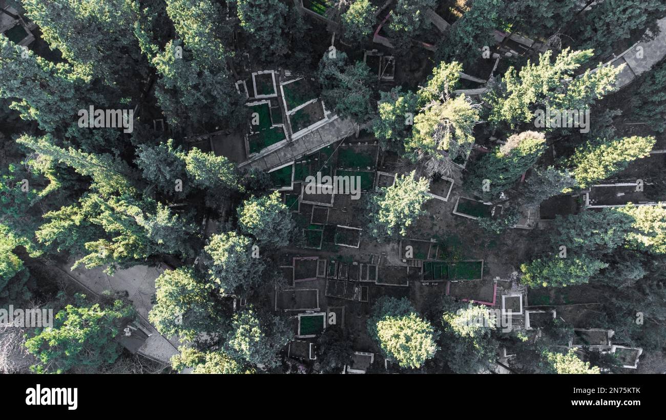 aerial view of forest. Memorial forest with long trees. Sultan baba ...