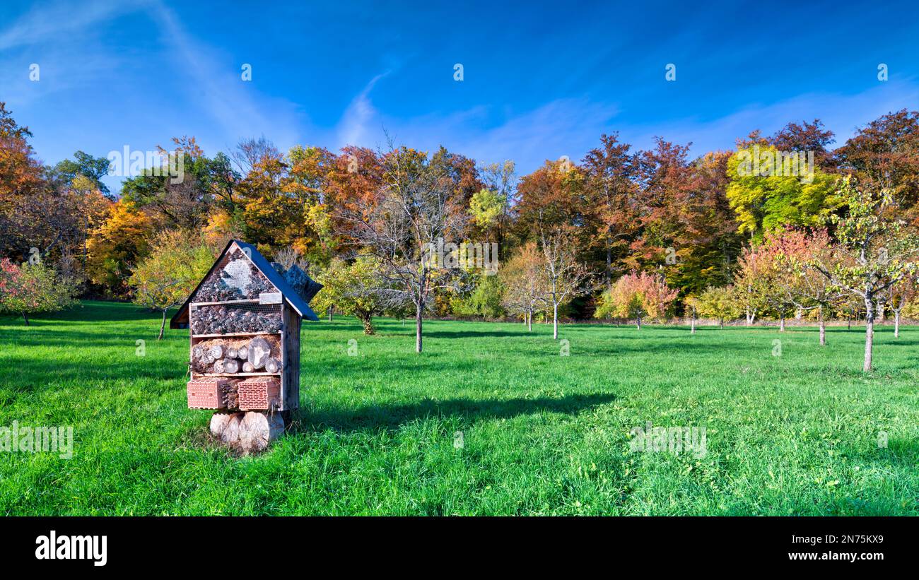 Insect house, insect hotel, habitat fruit meadow, autumn, Ostheim vor ...
