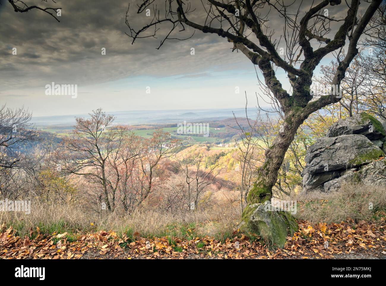 Rhonberg hi-res stock photography and images - Alamy