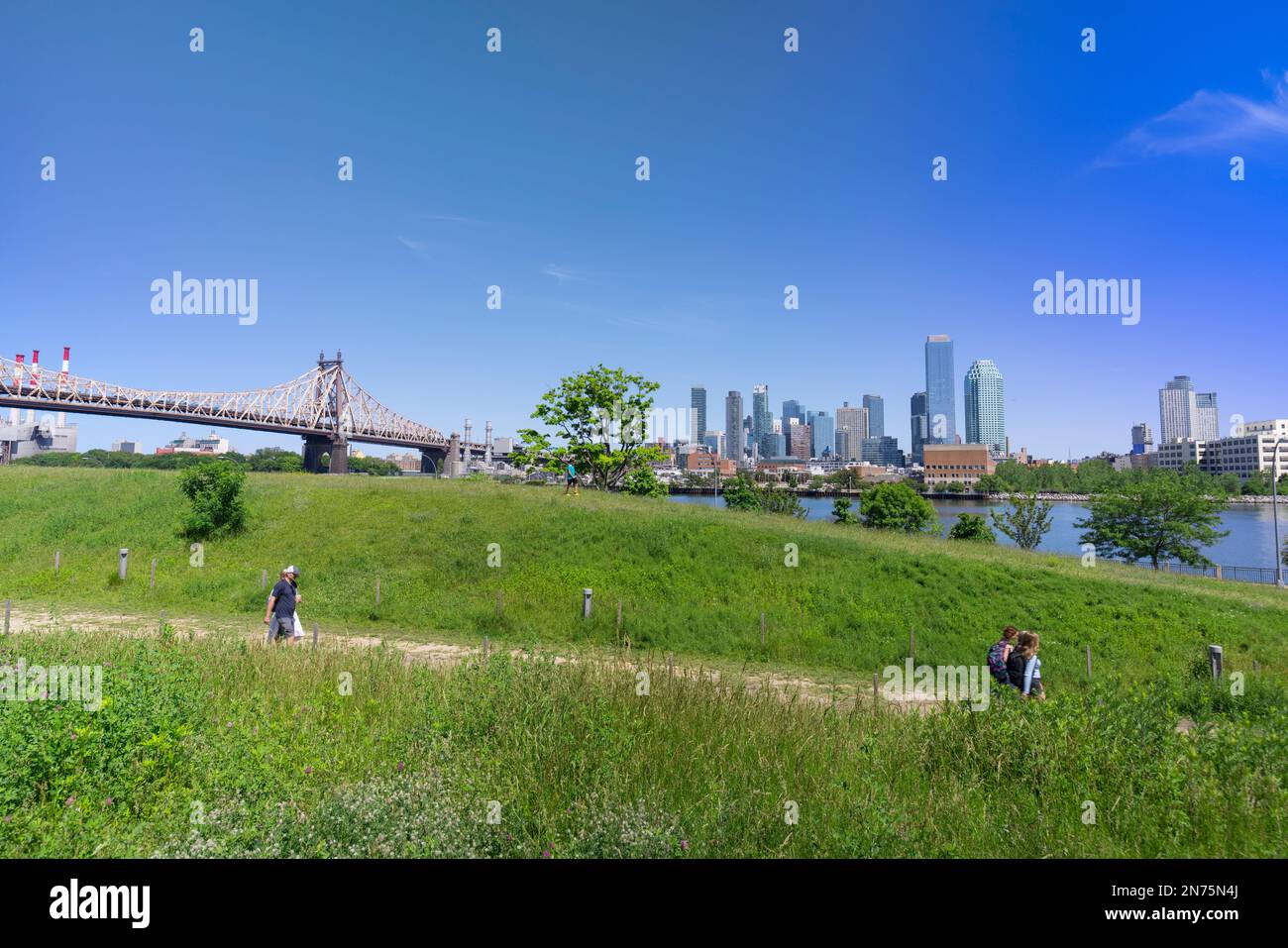 Long Island City high-rise buildings stand in Queens ward NYC Stock ...
