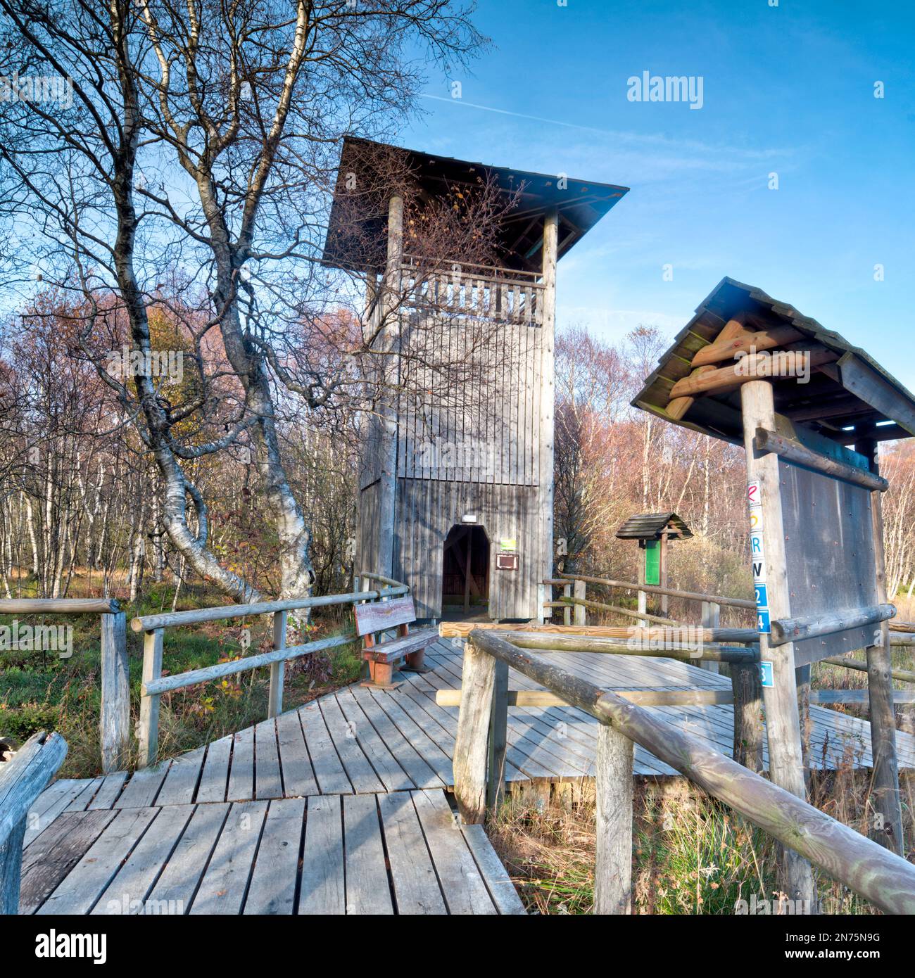 Red moor, lookout tower, wooden plank path, birch forest, UNESCO ...