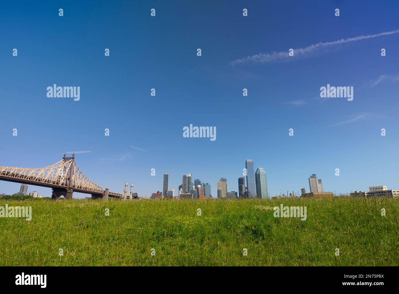 Long Island City high-rise buildings stand in Queens ward NYC Stock ...