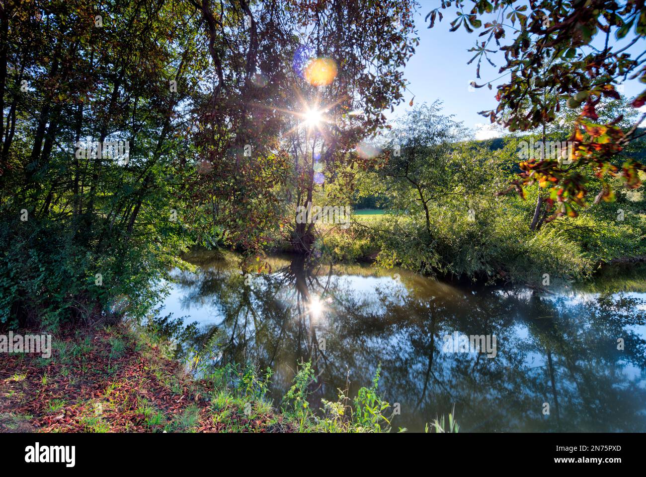 Franconian Saale, bank, walk, reflection, autumn, Bad Kissingen ...
