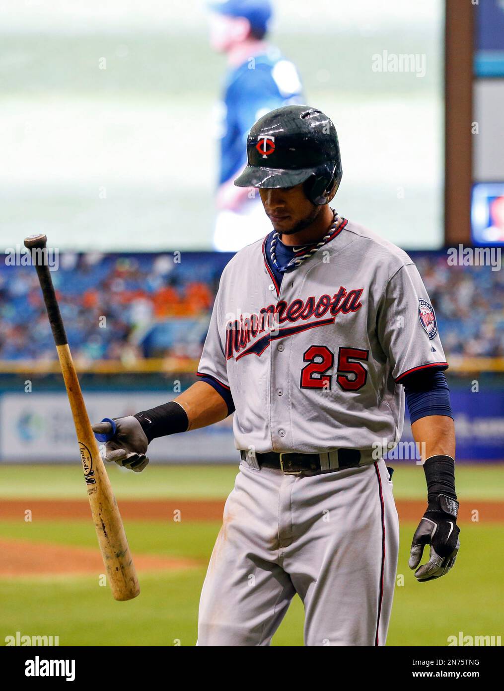 Minnesota Twins' Pedro Florimon reacts after striking out against Tampa ...