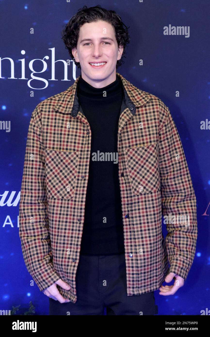 Robegrill hi-res stock photography and images - Alamy