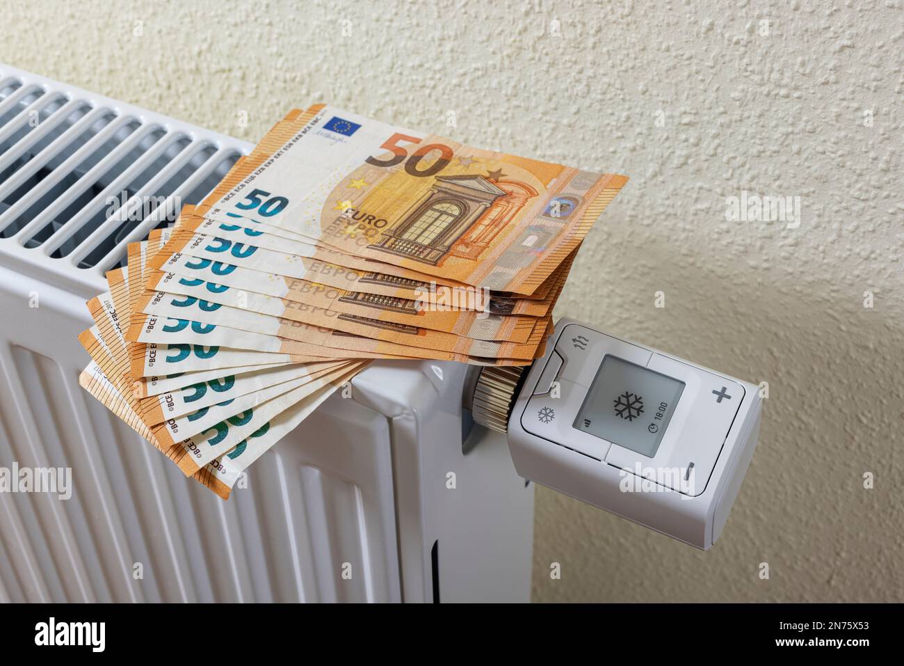 700 Euro, 50 Euro bills, WLAN radiator thermostat FRITZ! DECT 302 ...