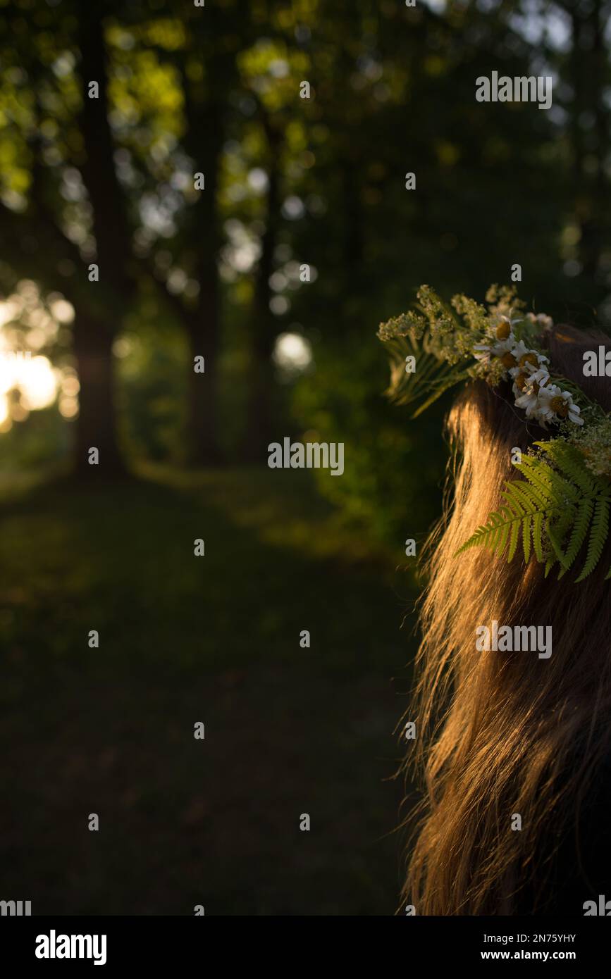 Girl standing in a Midsummer celebration with a traditional Latvian ...