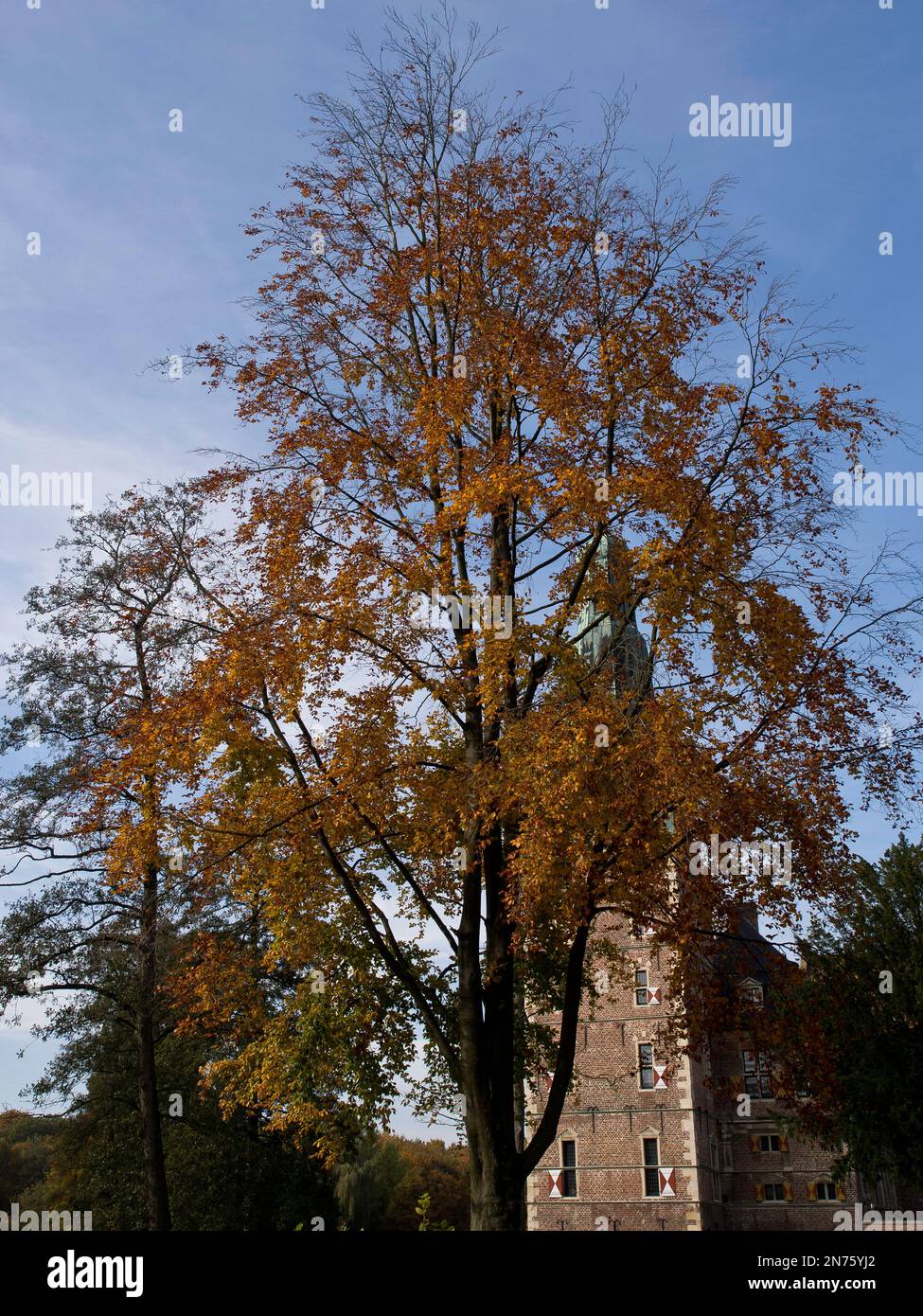 the castle of Raesfeld in germany Stock Photo - Alamy