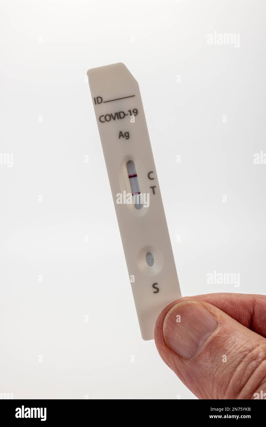 Male hand holding Rapid SARS-CoV-2 antigen test cassette with positive ...