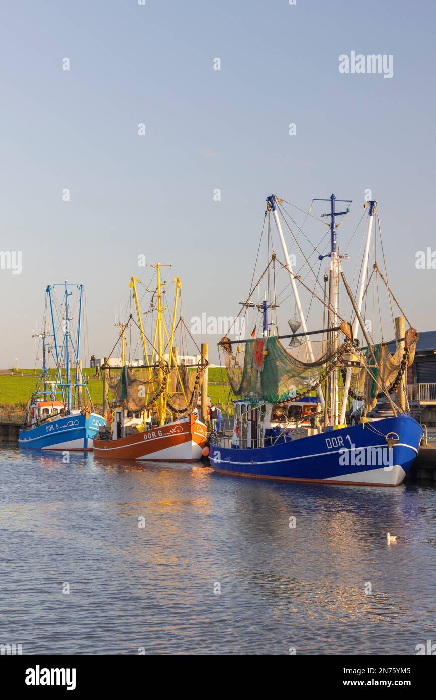 Fishing cutter in the harbor of dorum neufeld hi-res stock photography ...