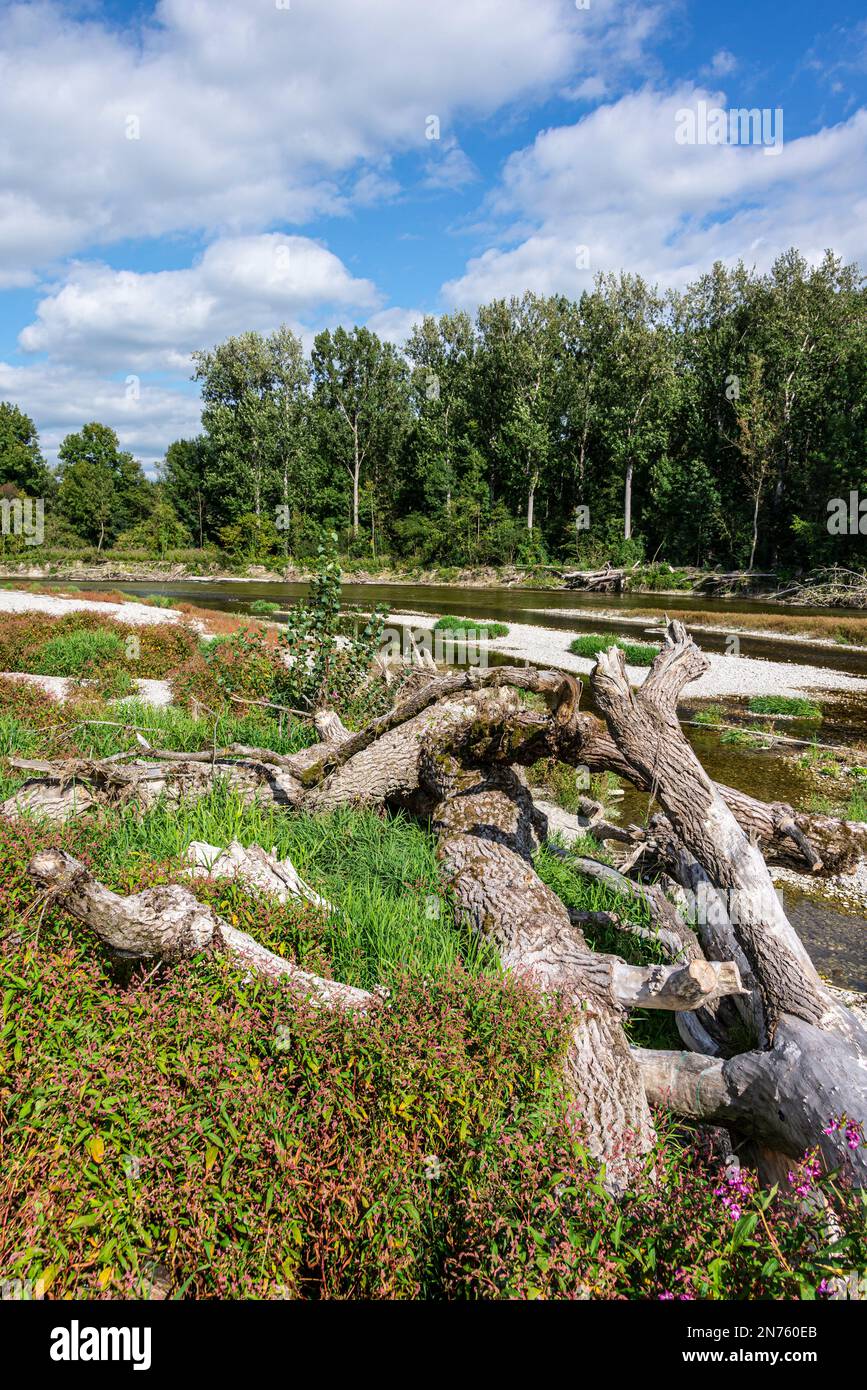 Germany, Bavaria, Isar cycle path, cycle tour from Freising to Moosburg ...