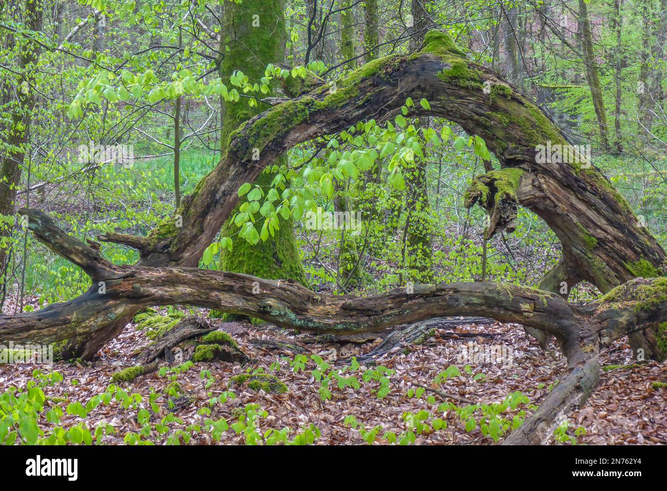 Langen steinberg hi-res stock photography and images - Alamy