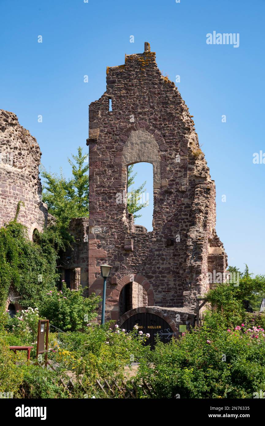Germany, Hesse, Dreieichenhain, Dreieichenhain old town, Hayn castle ...