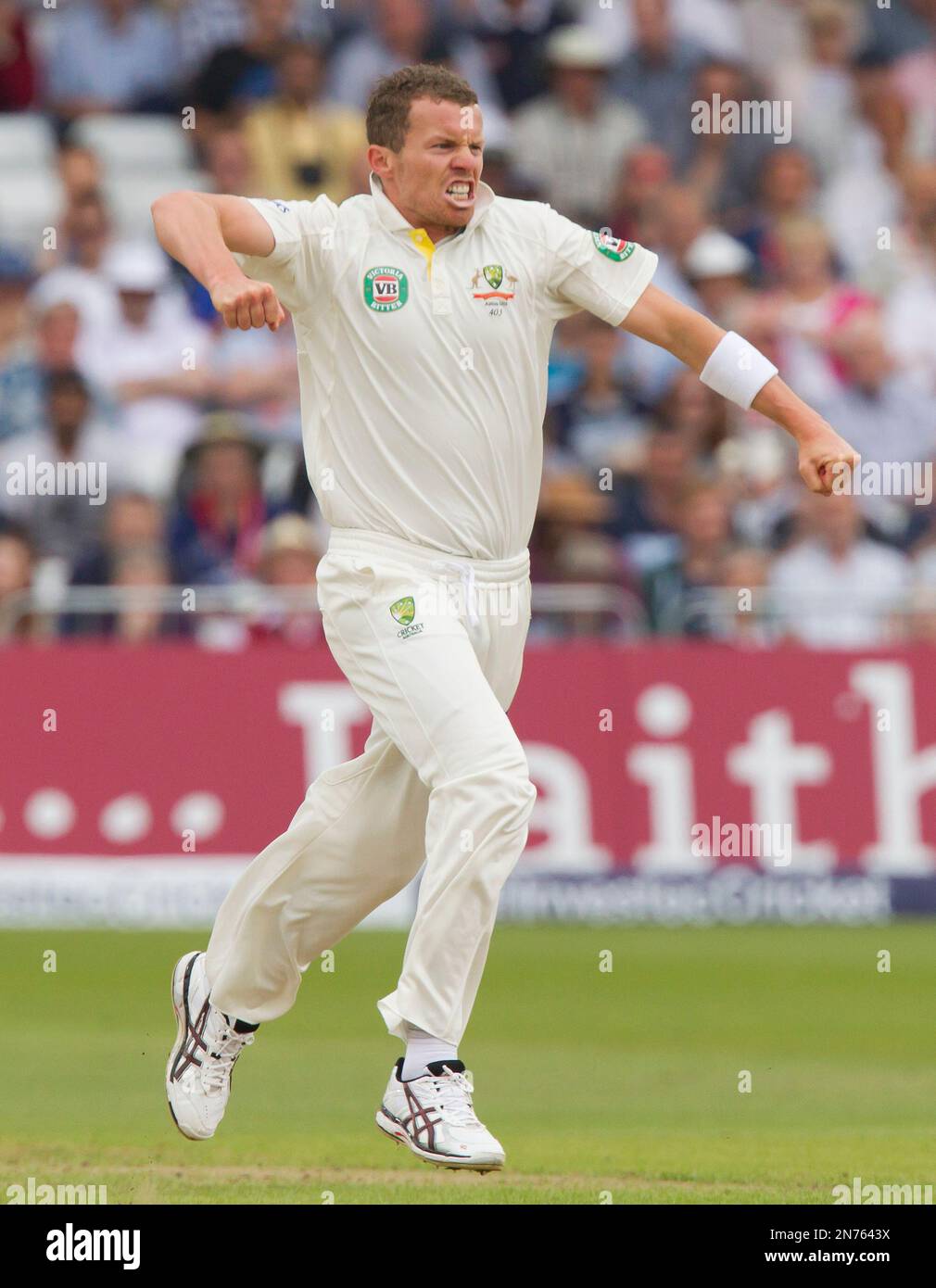 Australia's Peter Siddle celebrates after taking the wicket of England ...
