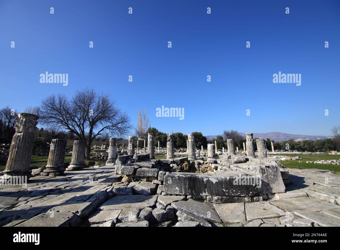 Excavations of the Temple of Hekate in Lagina Ancient City and Ancient ...