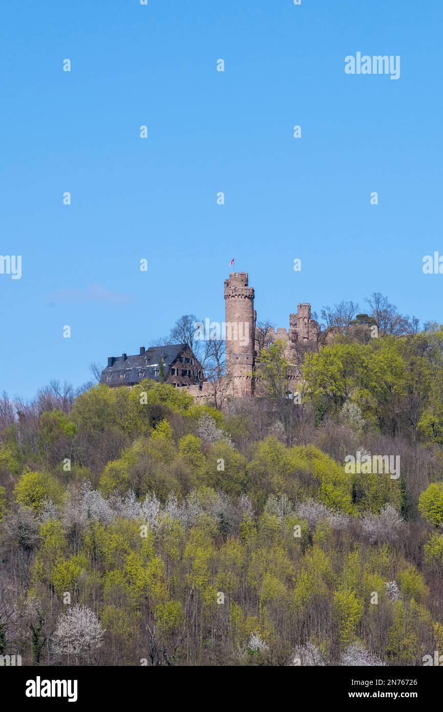 Germany, Hesse, Southern Hesse Bergstrasse District, Bensheim-Auerbach ...