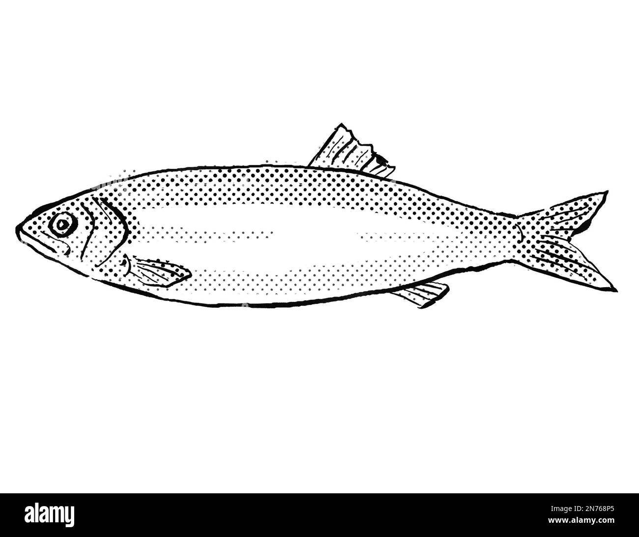 Sprat Black and White Stock Photos & Images - Alamy