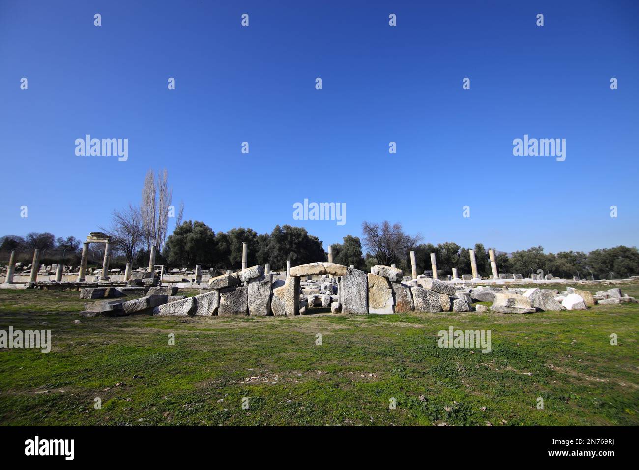 Excavations of the Temple of Hekate in Lagina Ancient City and Ancient ...