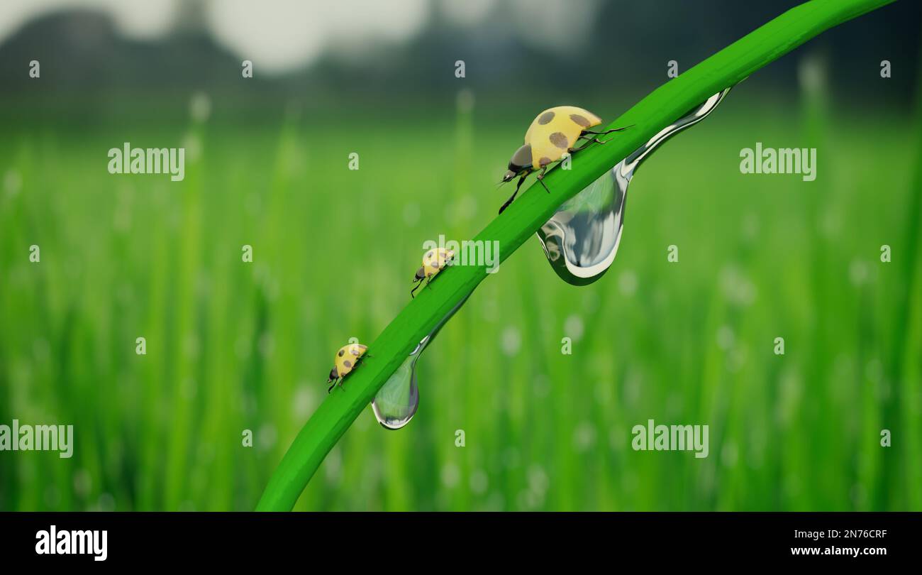 Wallpaper hd hi-res stock photography and images - Alamy