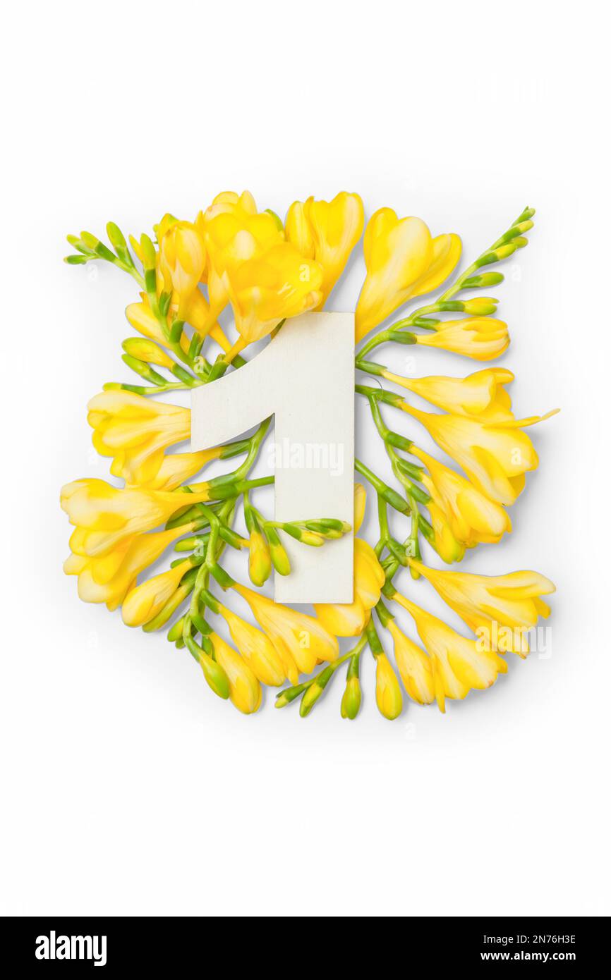 Number one shape with brunch of yellow freesia flower isolated over white background. Summer ...
