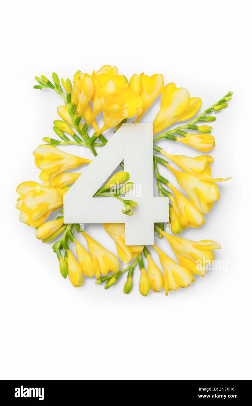 Number four shape with brunch of yellow freesia flower isolated over ...