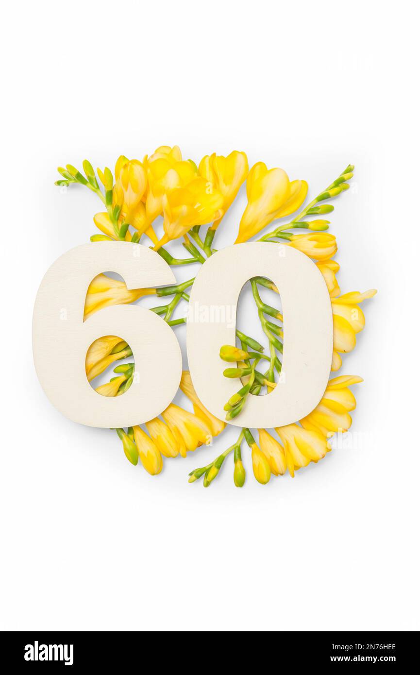 Number sixty shape with brunch of yellow freesia flower isolated over ...