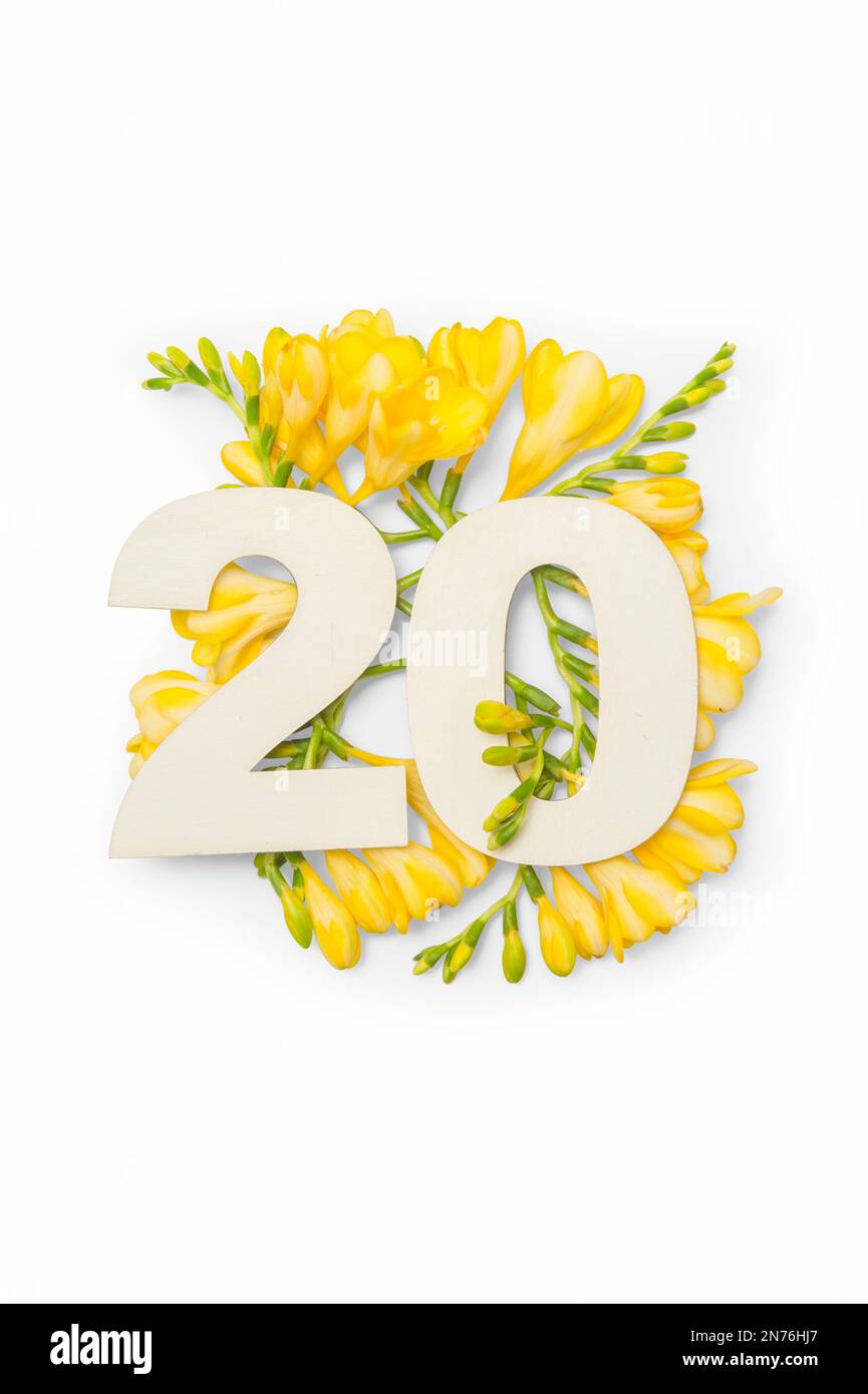 Number twenty shape with brunch of yellow freesia flower isolated over white background. Summer ...