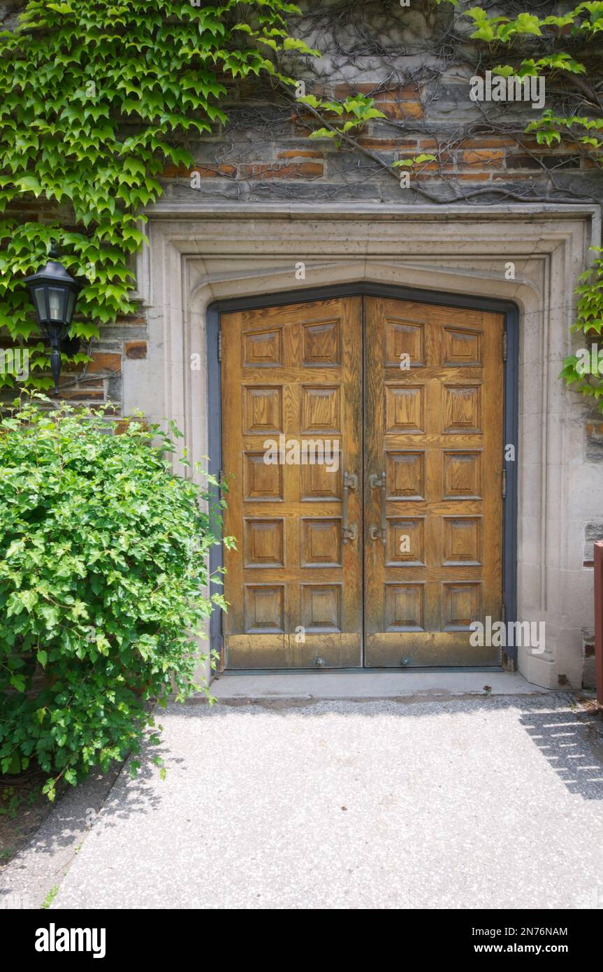 Entrance of the building with vine plants Stock Photo - Alamy