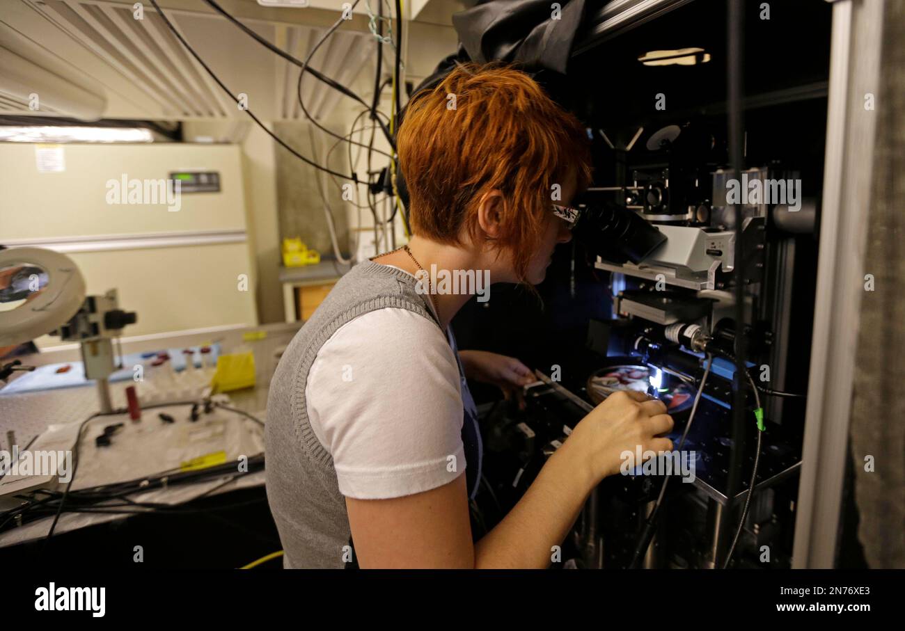 In this Thursday, June 27, 2013 photo, senior grad student Tana ...