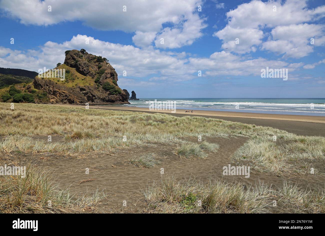 Lion Rock on Piha Beach - New Zealand Stock Photo - Alamy
