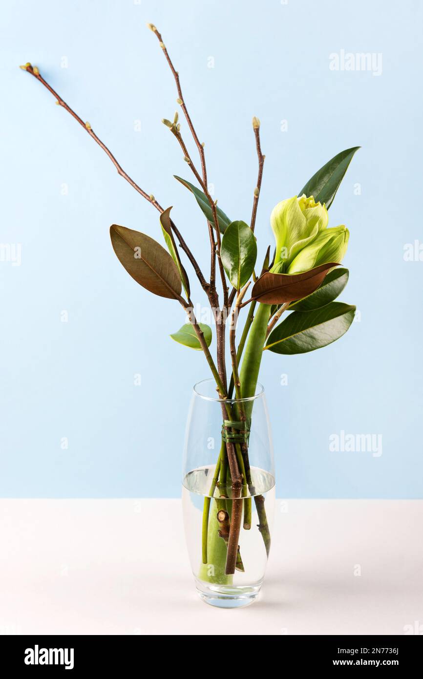 Stylish spring bouquet with branches and leaves of magnolia and ...