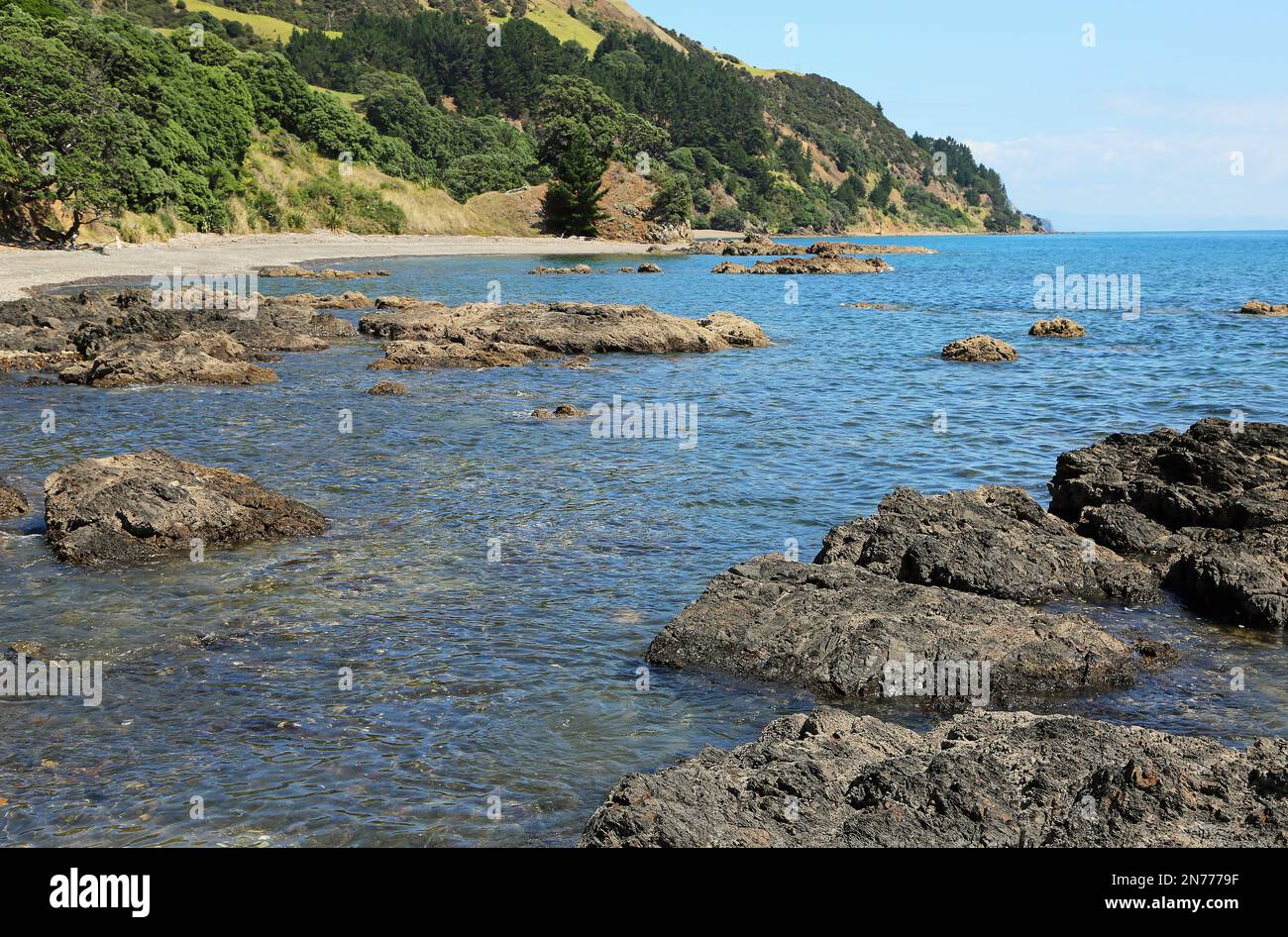 Volcanic rock on the beach - New Zealand Stock Photo - Alamy