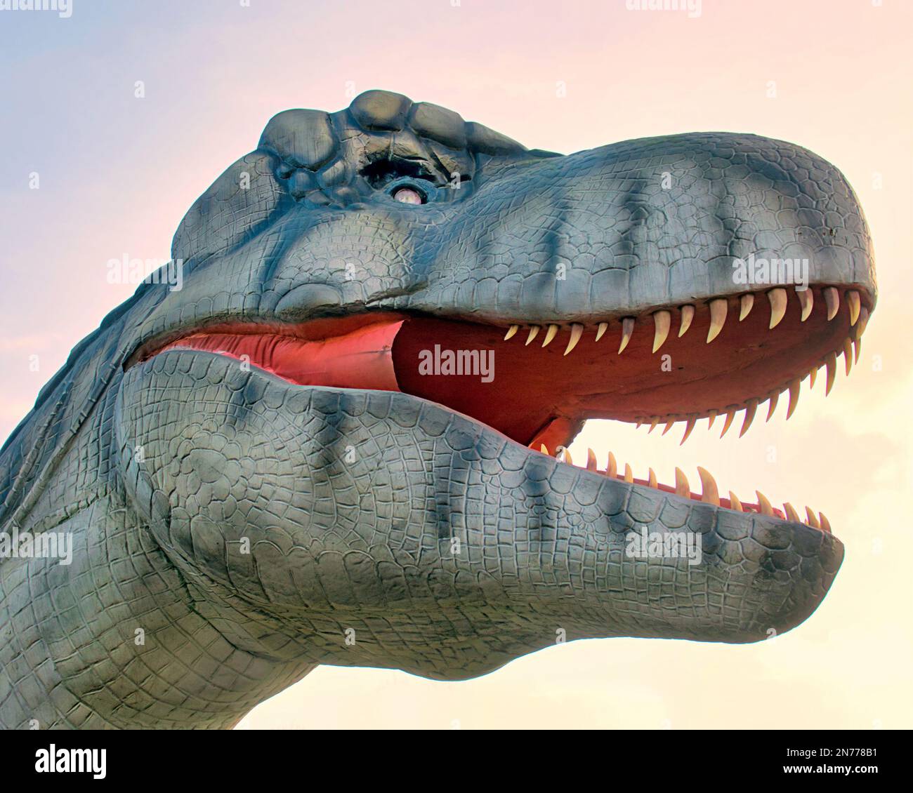 animatronic model of Tyrannosaurus rex often called T. rex or ...